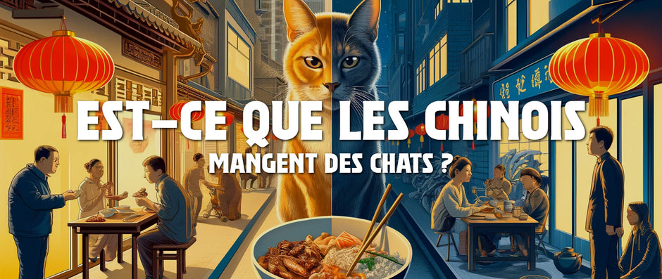 Est-ce que les Chinois mangent des Chats